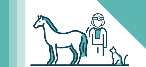 Veterinary Council of Ireland Public Consultation - Canine Surgical ...